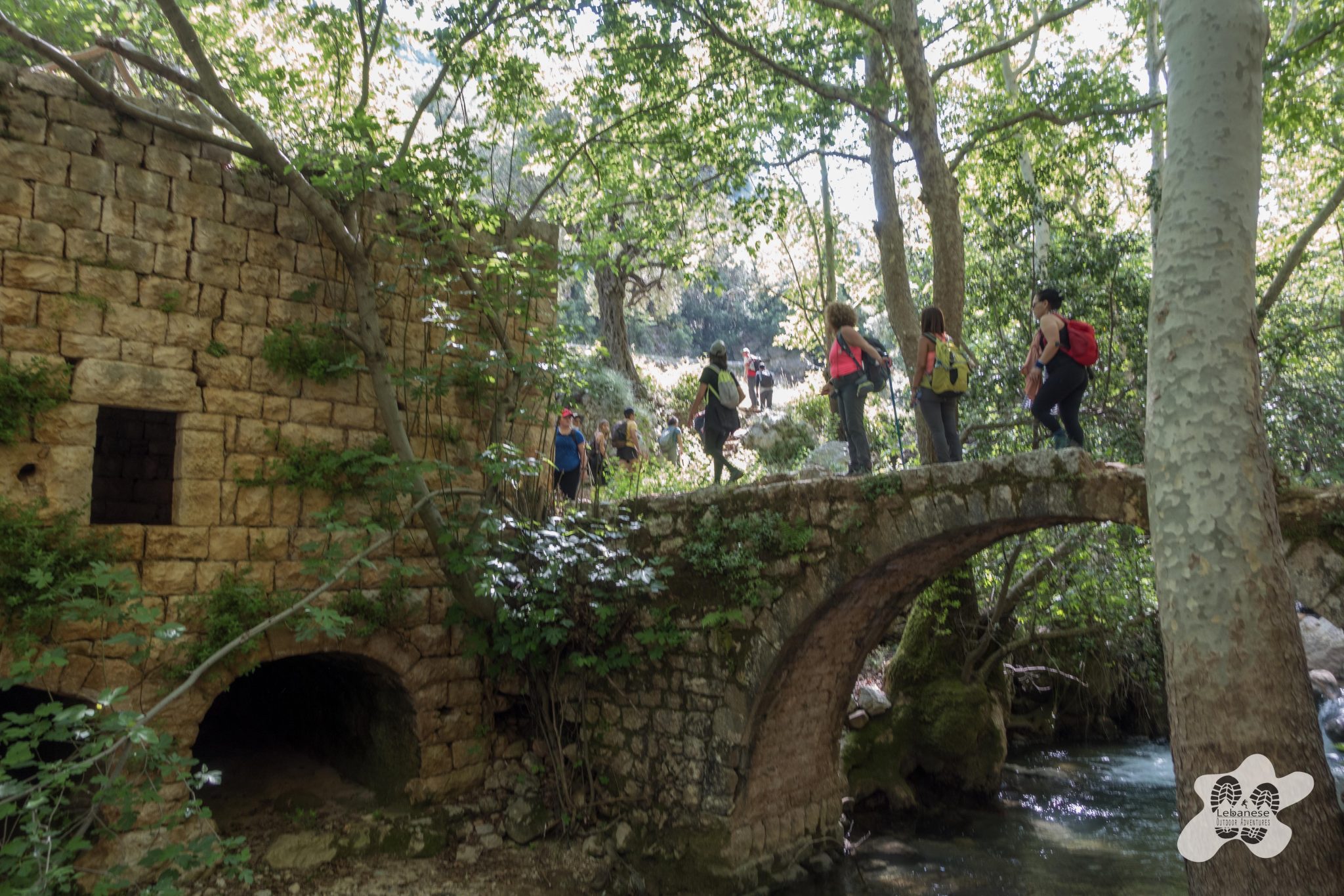 Beit Chlala & Tannourine Hike with Lebanese Outdoor Adventures – LOA ...