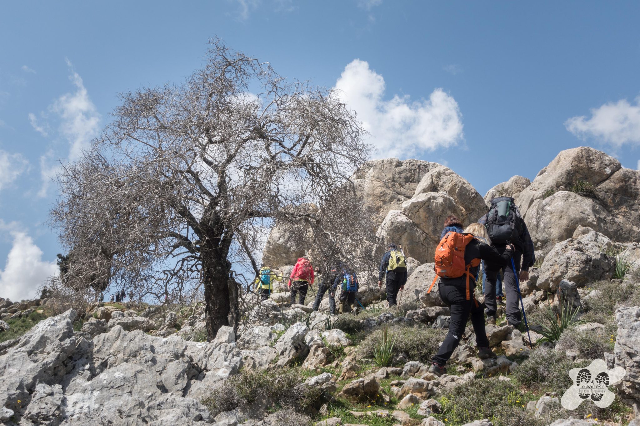 Darb El Yanabi3 / Turtles trail” Qab Elias Hike with LOA – LOA ...