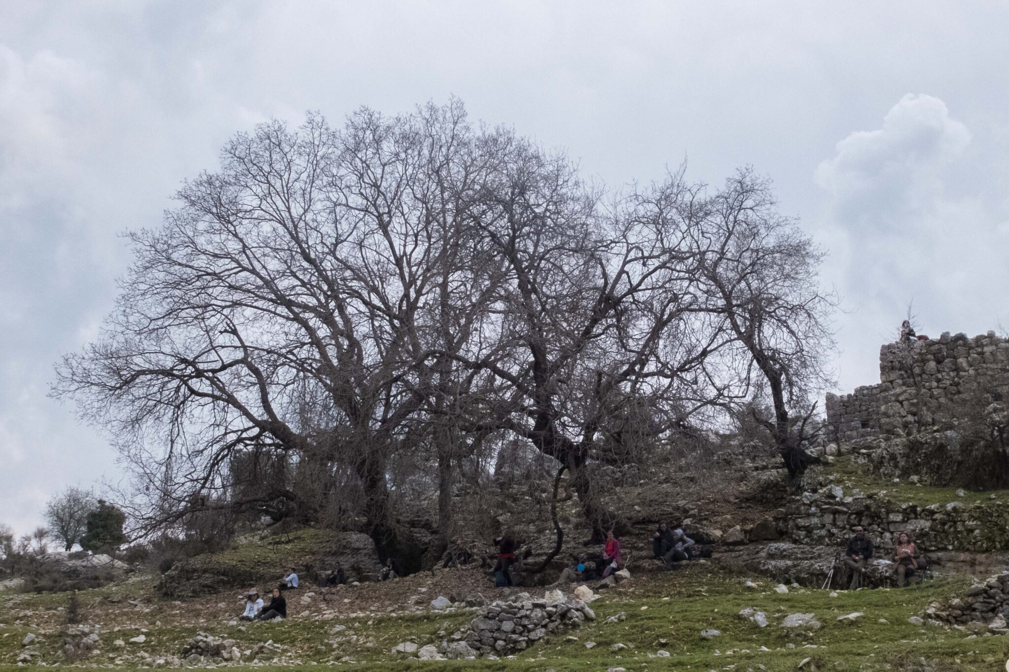 Mechmech & Habil Village hike with LOA – LOA | Lebanese Outdoor ...
